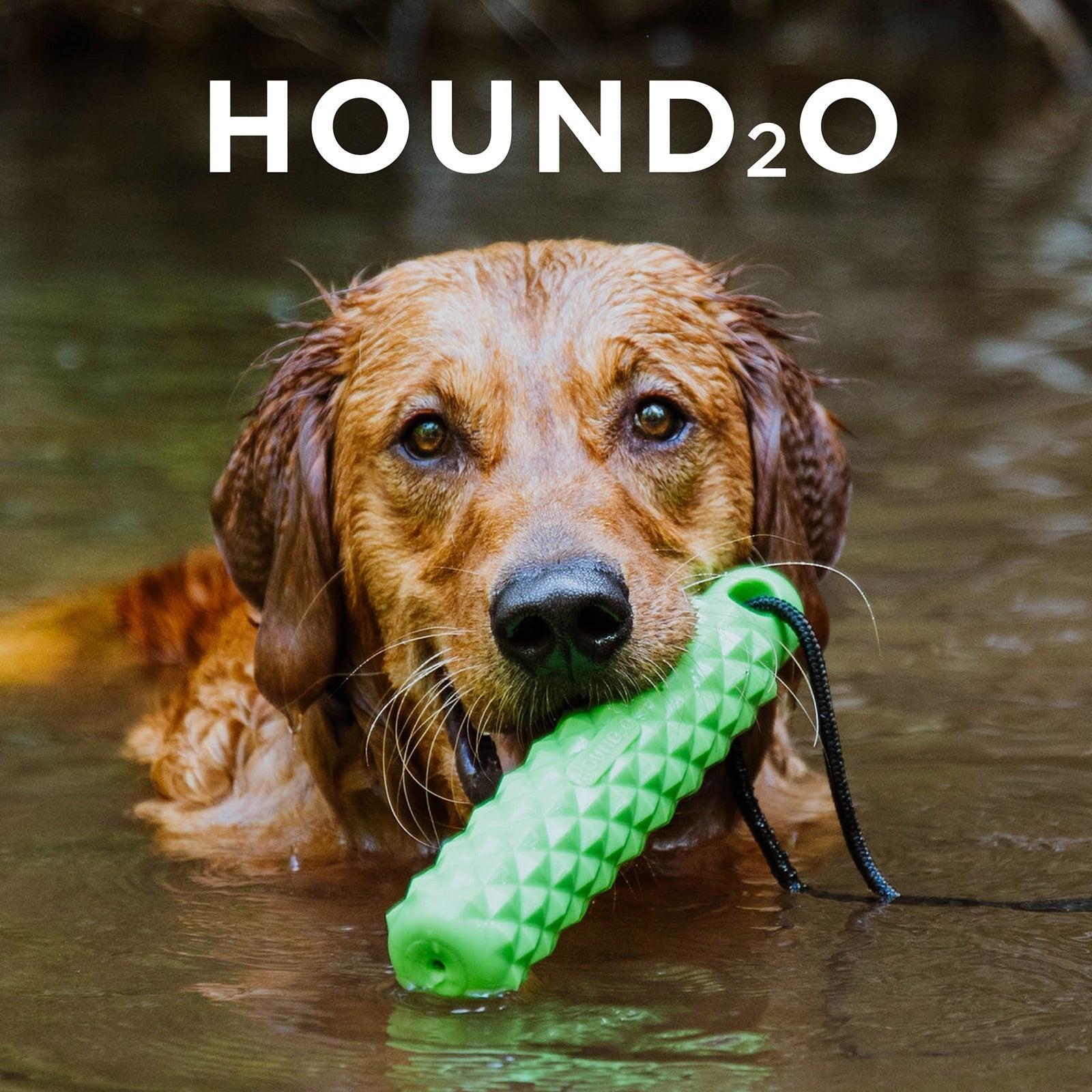 Hound20 – Playology