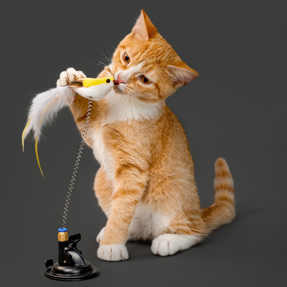 Suction Cup Spring Bird – Playology