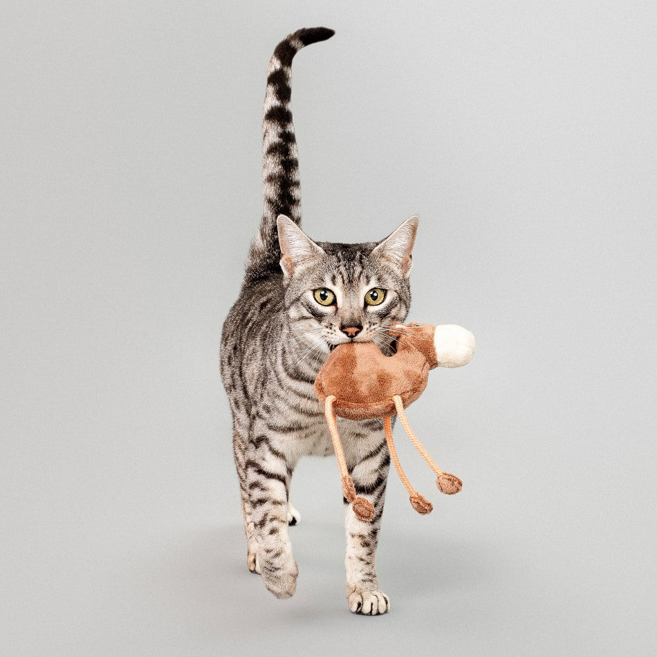 Grrreen Calvin the Camel - Cat – Playology