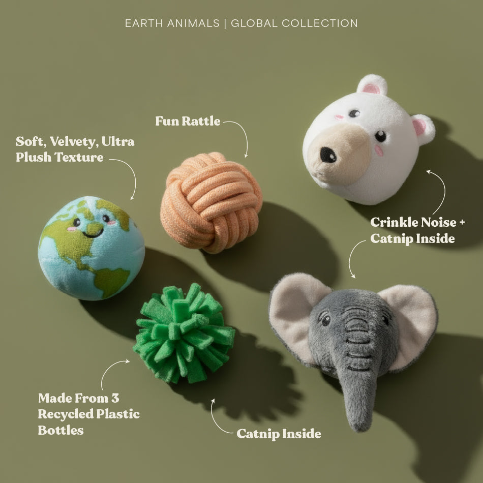 Earth Animals 5-pack – Playology