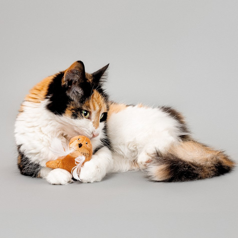 Walter the Walrus - Cat – Playology