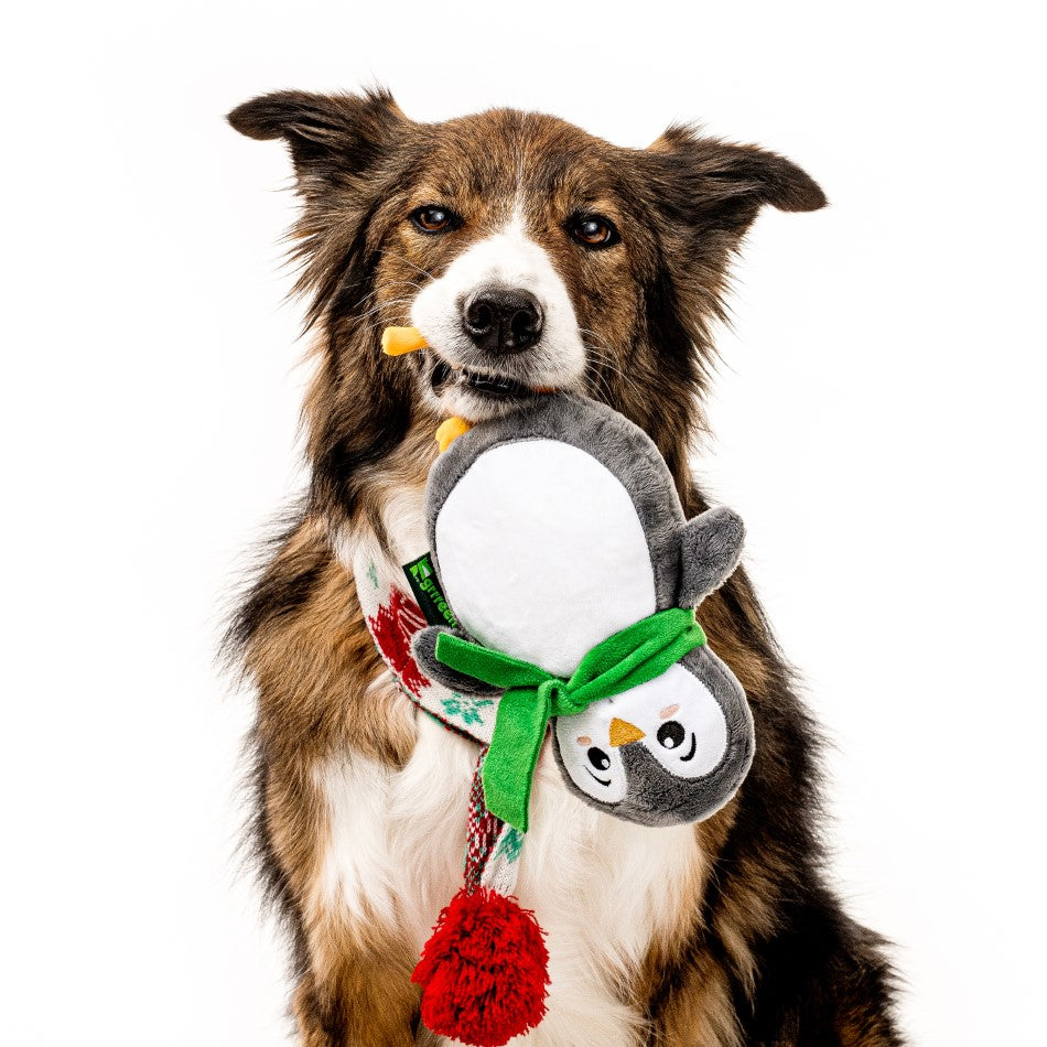 *Limited Edition* Pablo the Penguin – Playology
