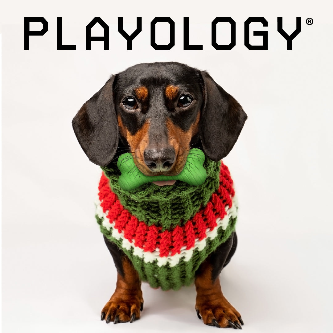 Playology Pets - Scented Dog Toys