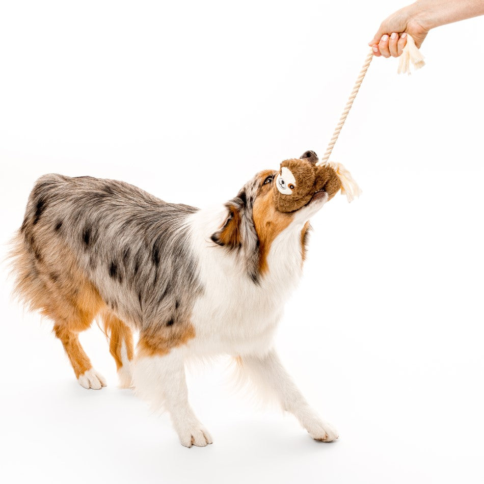 Syd the Sloth – Playology