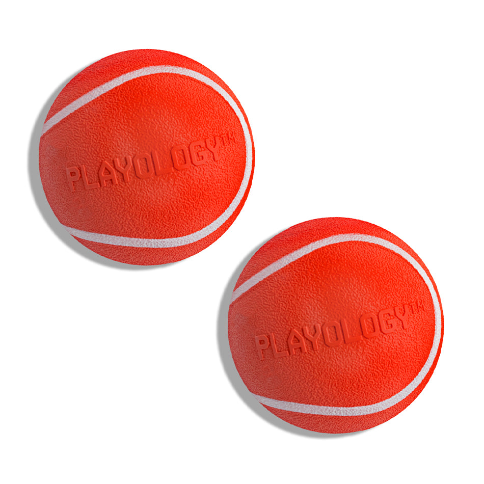 Squeaky Chew Ball 2-Pack - Medium – Playology