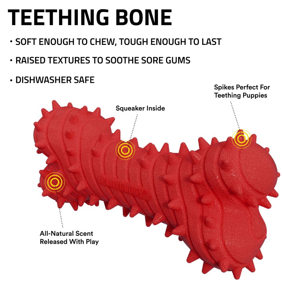 Teething Bone – Playology